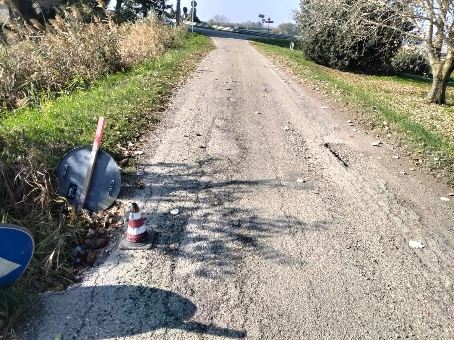 Primo incontro pubblico ad Alfonsine con la Consigliera Daniela Alì ...